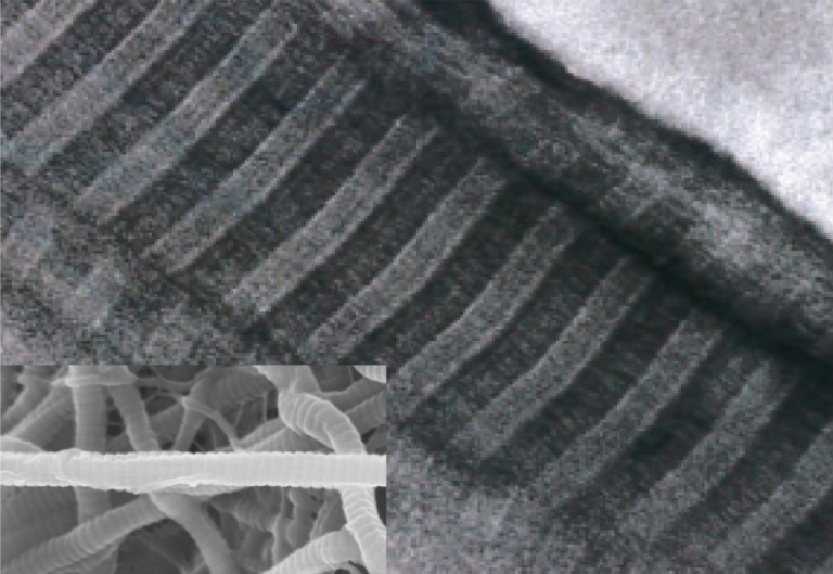 COLLAGEN - MBI | Medical Device Manufacturer of Hyaluronic Acid ...